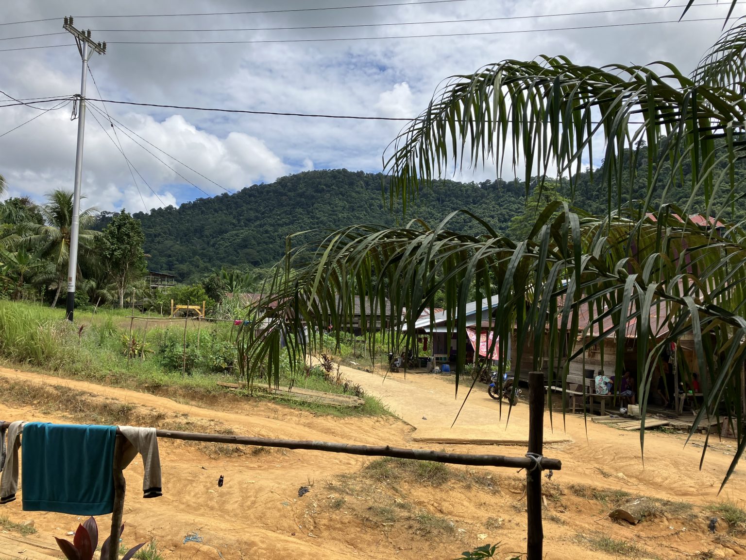 侵害される先住民の慣習地と深刻な社会紛争ーインドネシア・西カリマンタンのマヤワナ・ペルサダ社による土地収奪 – 熱帯林行動ネットワークJATAN