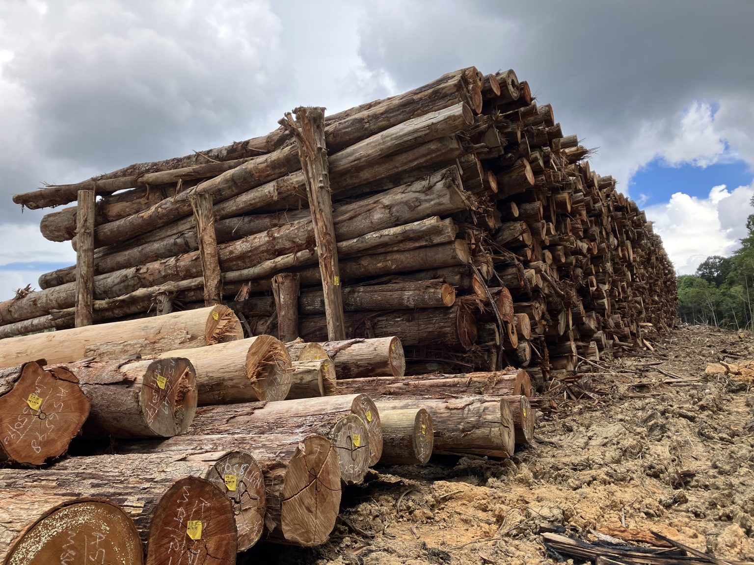 侵害される先住民の慣習地と深刻な社会紛争ーインドネシア・西カリマンタンのマヤワナ・ペルサダ社による土地収奪 – 熱帯林行動ネットワークJATAN