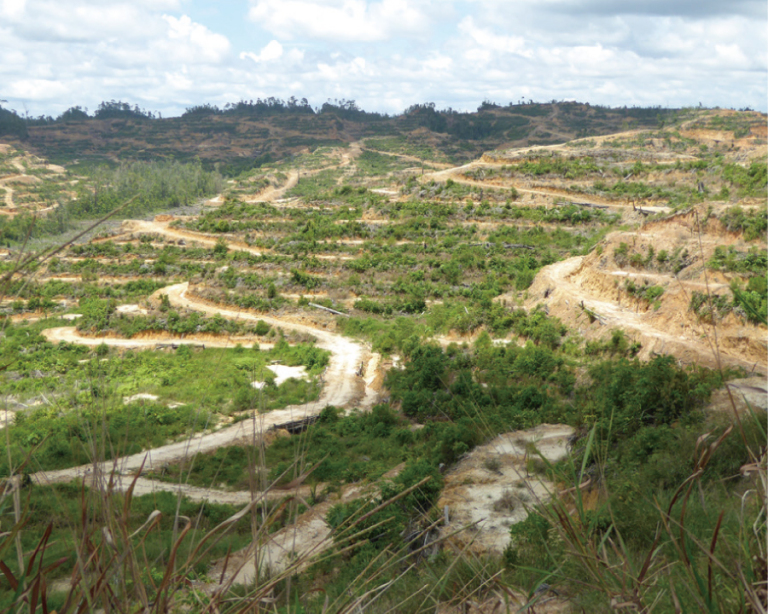 紙パルプ | 熱帯林行動ネットワークJATAN(ジャタン)