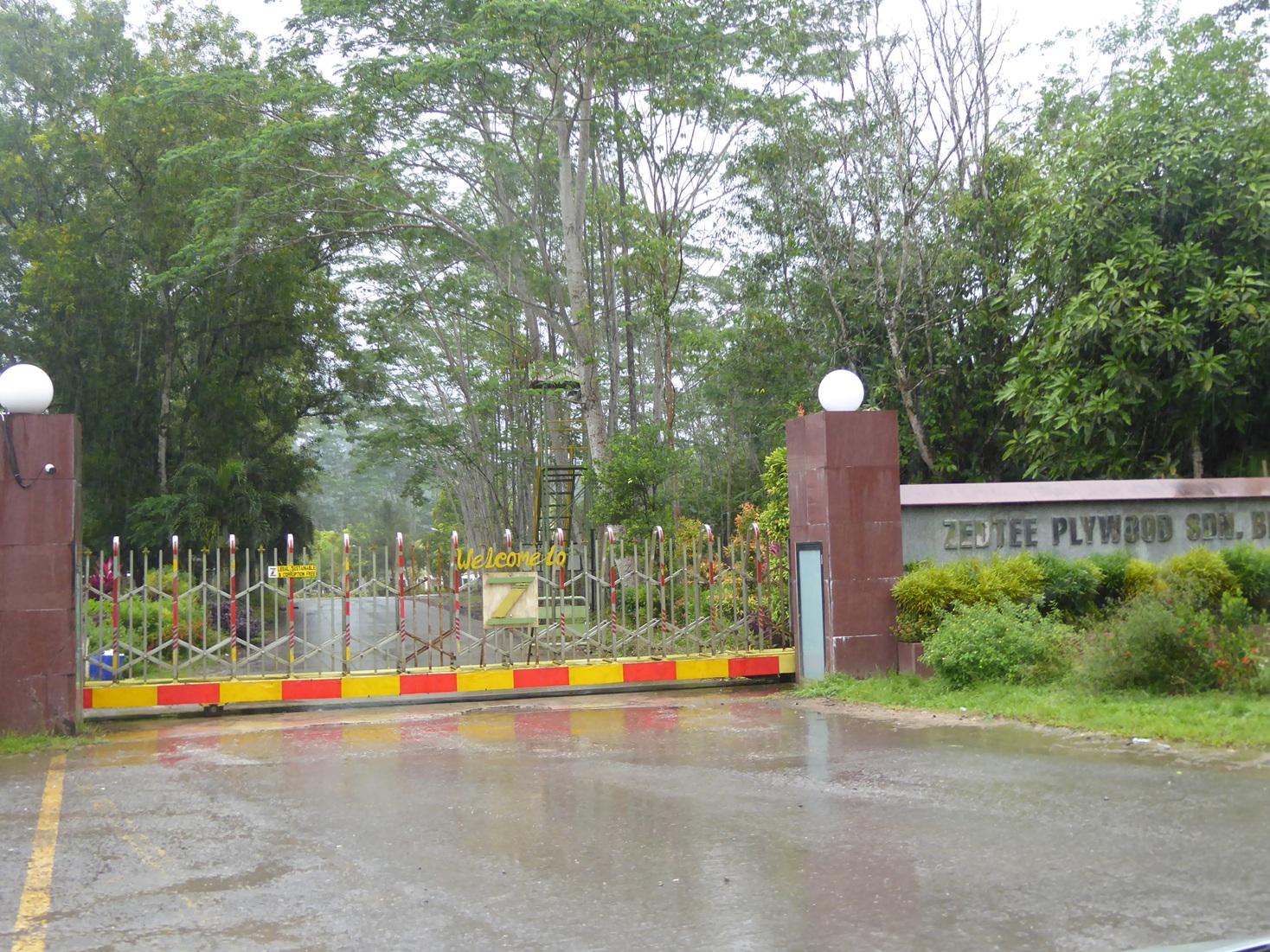 ブルドーザーに対峙するイバン人の伝統的コミュニティ | 熱帯林行動ネットワークJATAN(ジャタン)